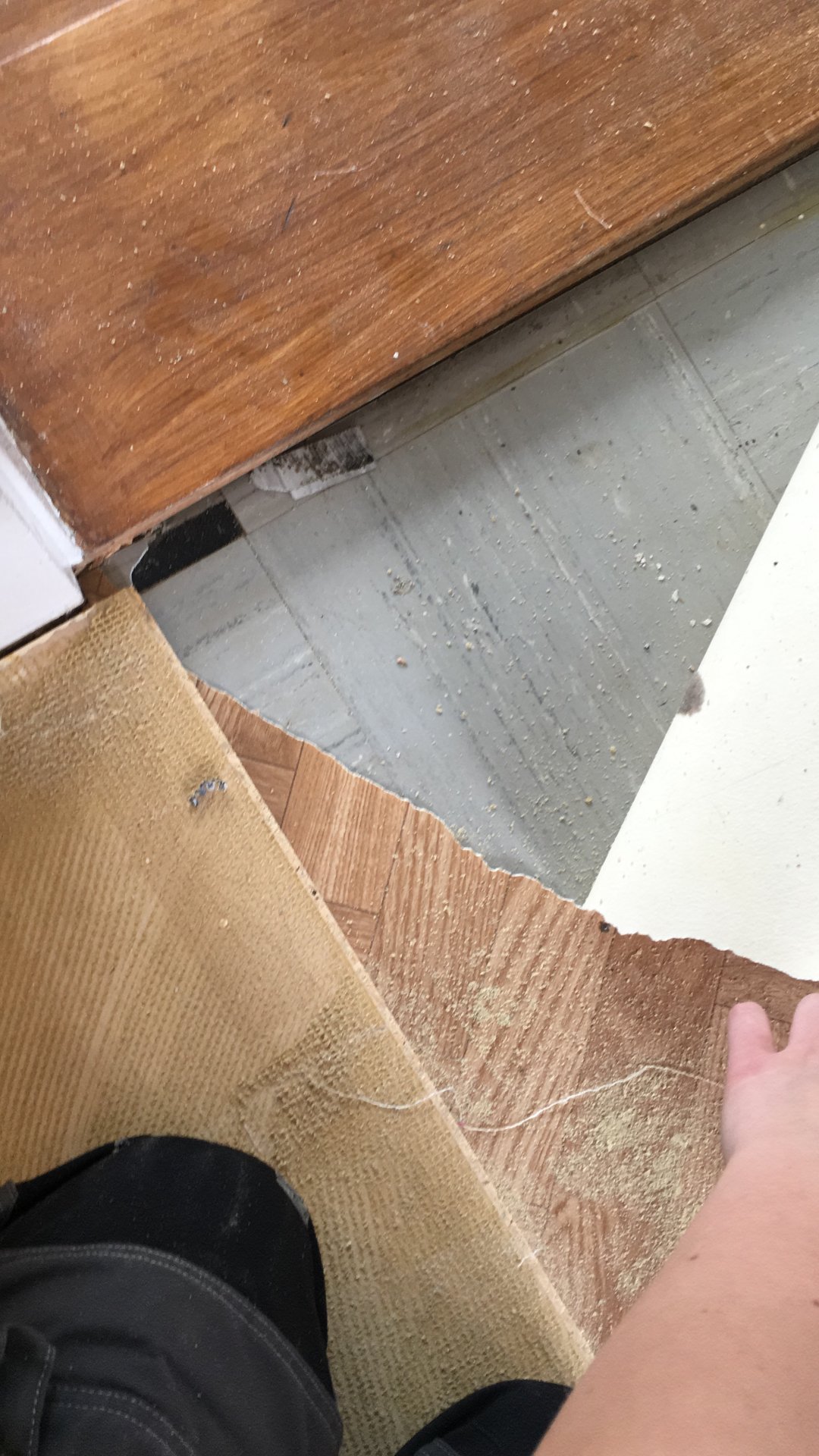 Floor Flex Platten Asbest 